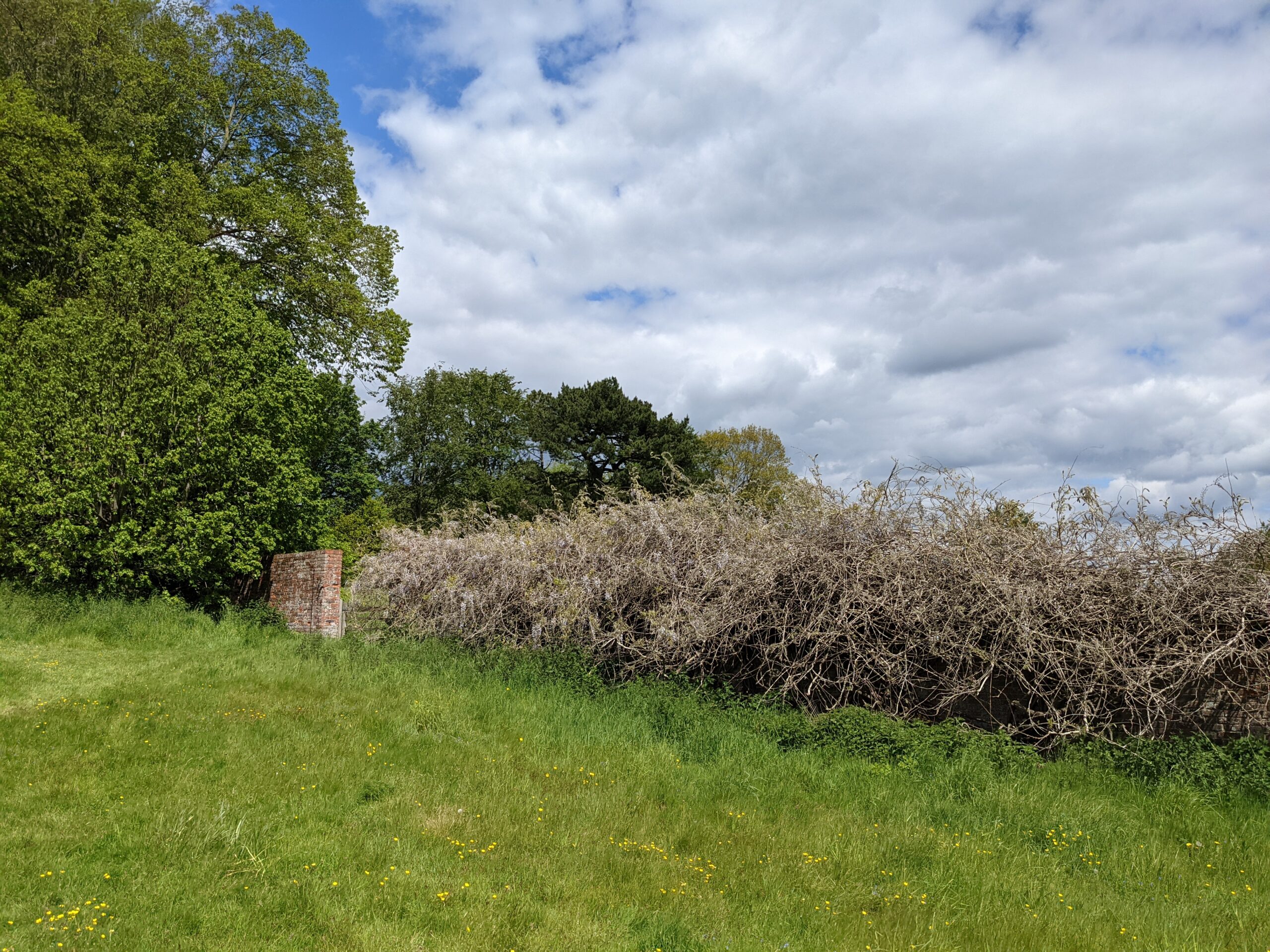Grounds – Nutbourne Place